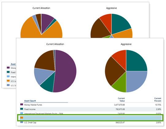 Asset Allocation Report